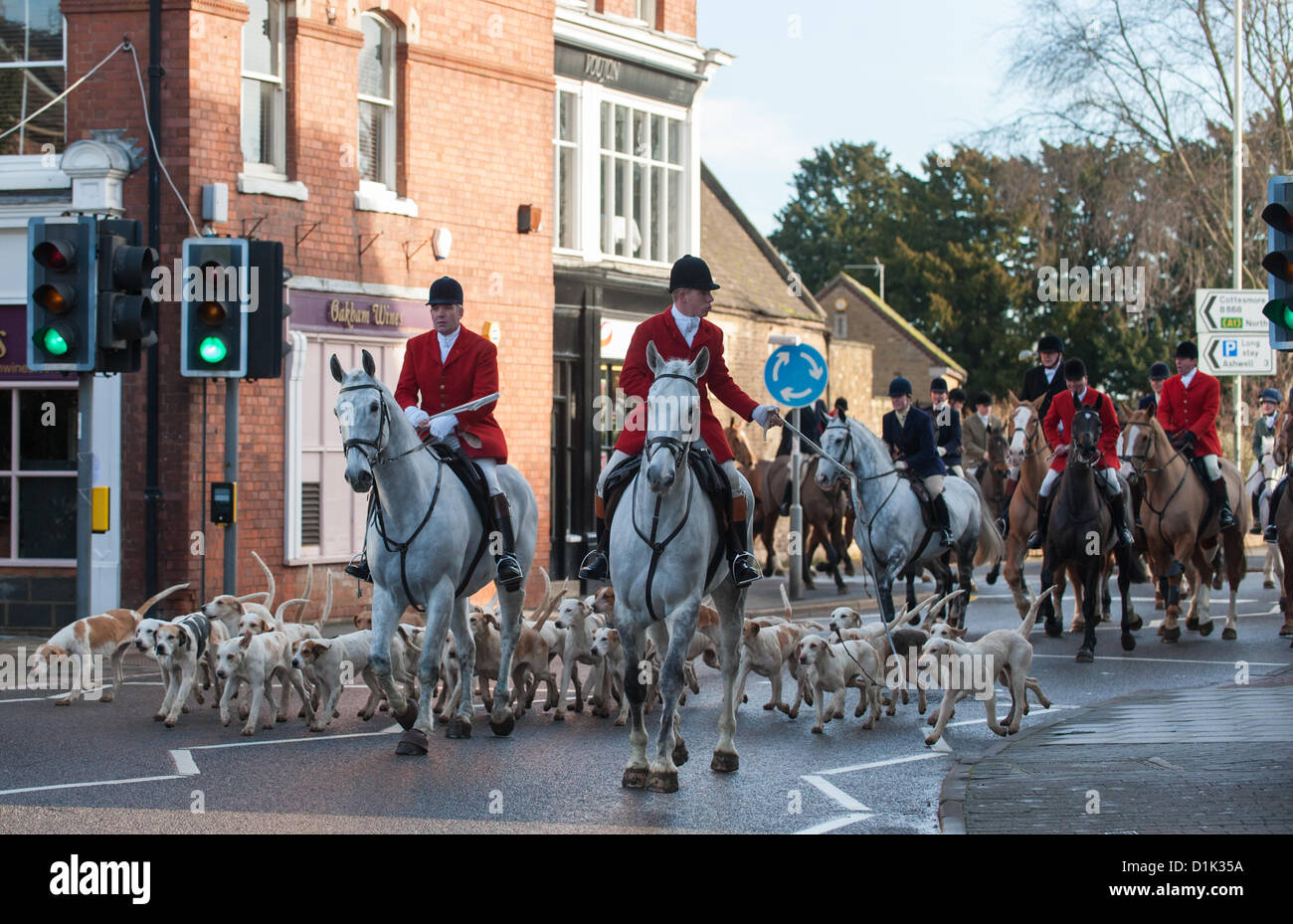 Cottesmore hunt fox hound in hi-res stock photography and images - Alamy