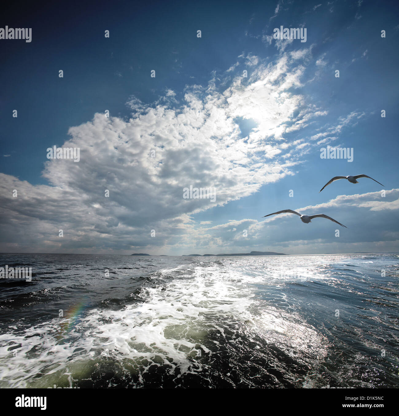 The White sea. The north of Russia Stock Photo - Alamy