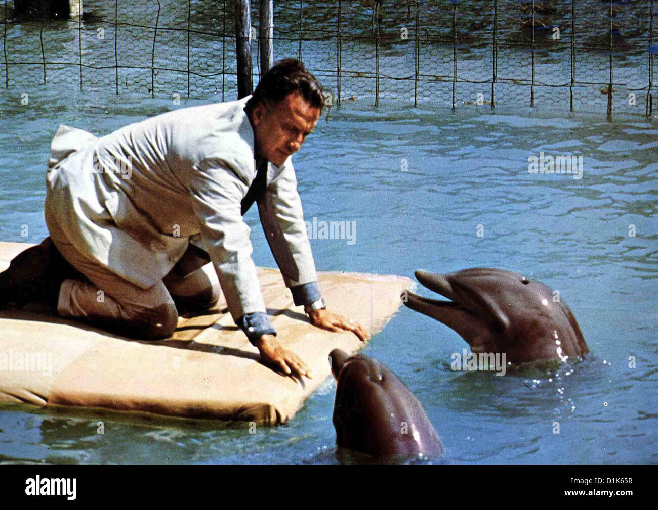 Der tag des delphins hi-res stock photography and images - Alamy