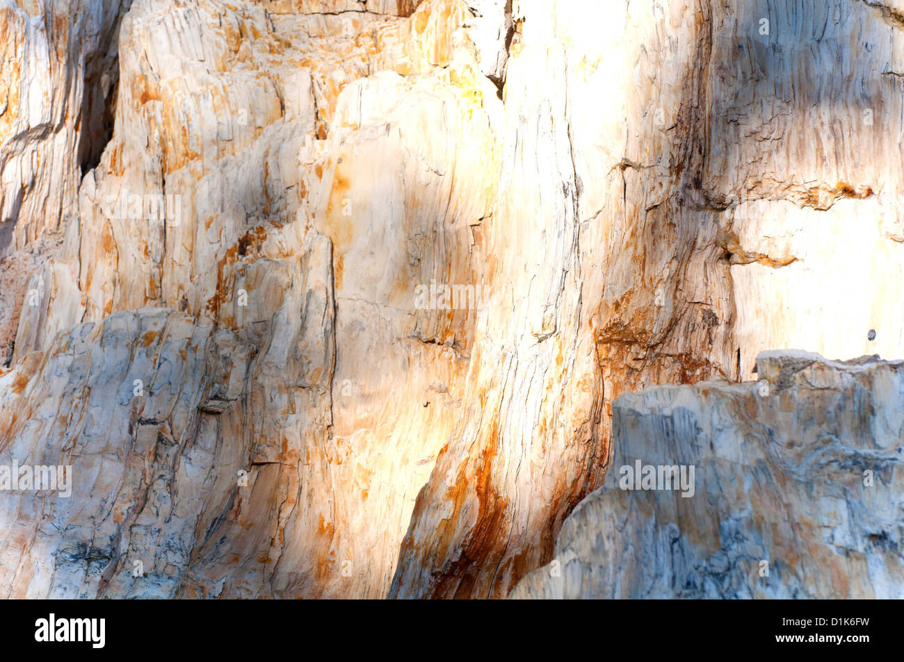Tree and rock hi-res stock photography and images - Alamy