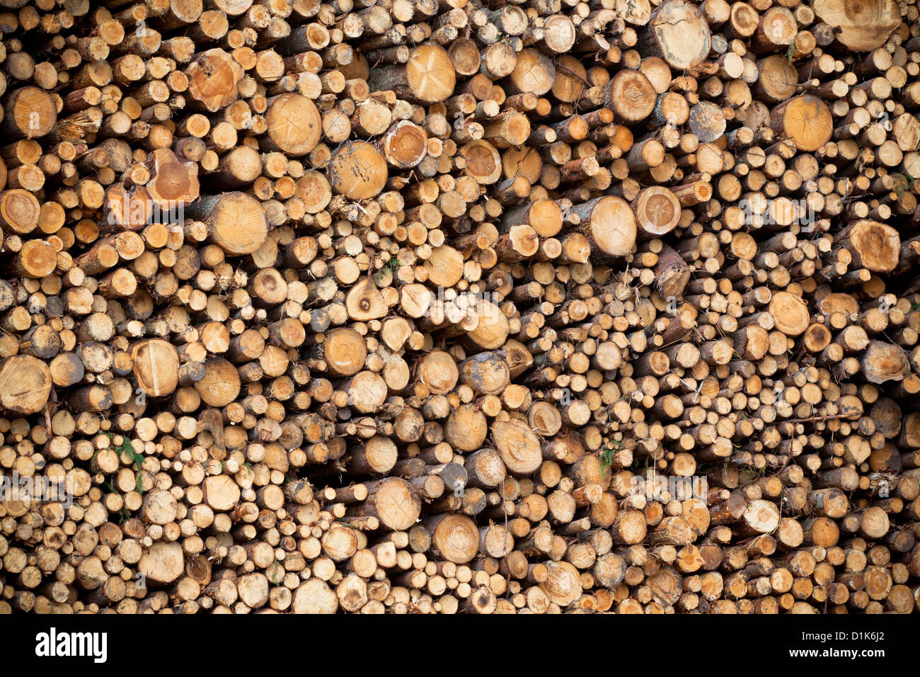 Big pile of logs as a horizontal background. Vignetted image Stock ...