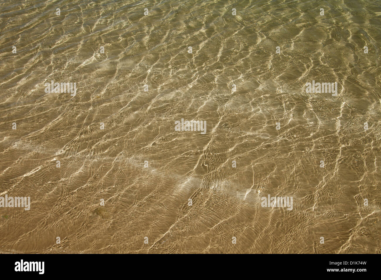 Sandy Ocean Floor 42815