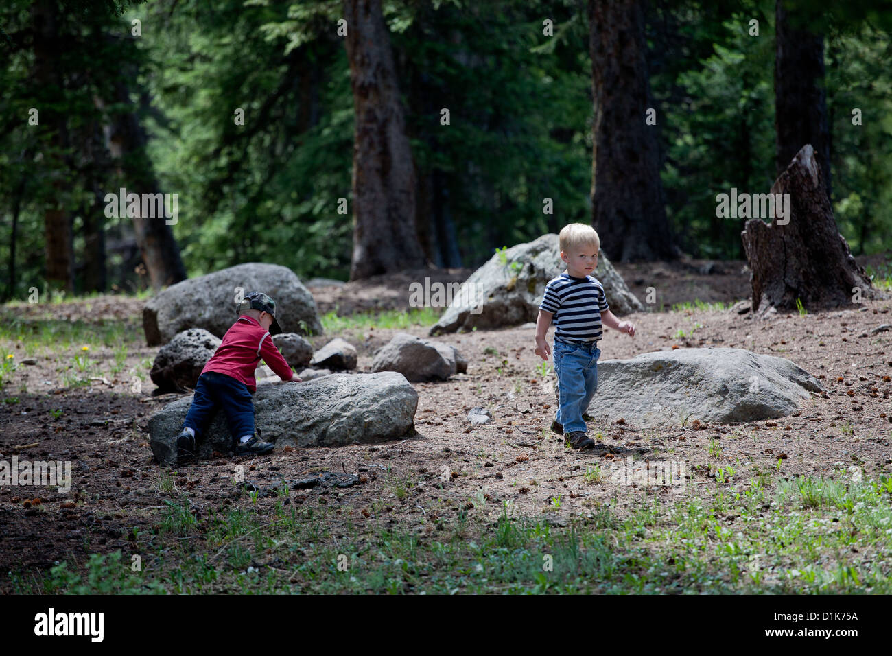 Toddlers in nature hi-res stock photography and images - Alamy