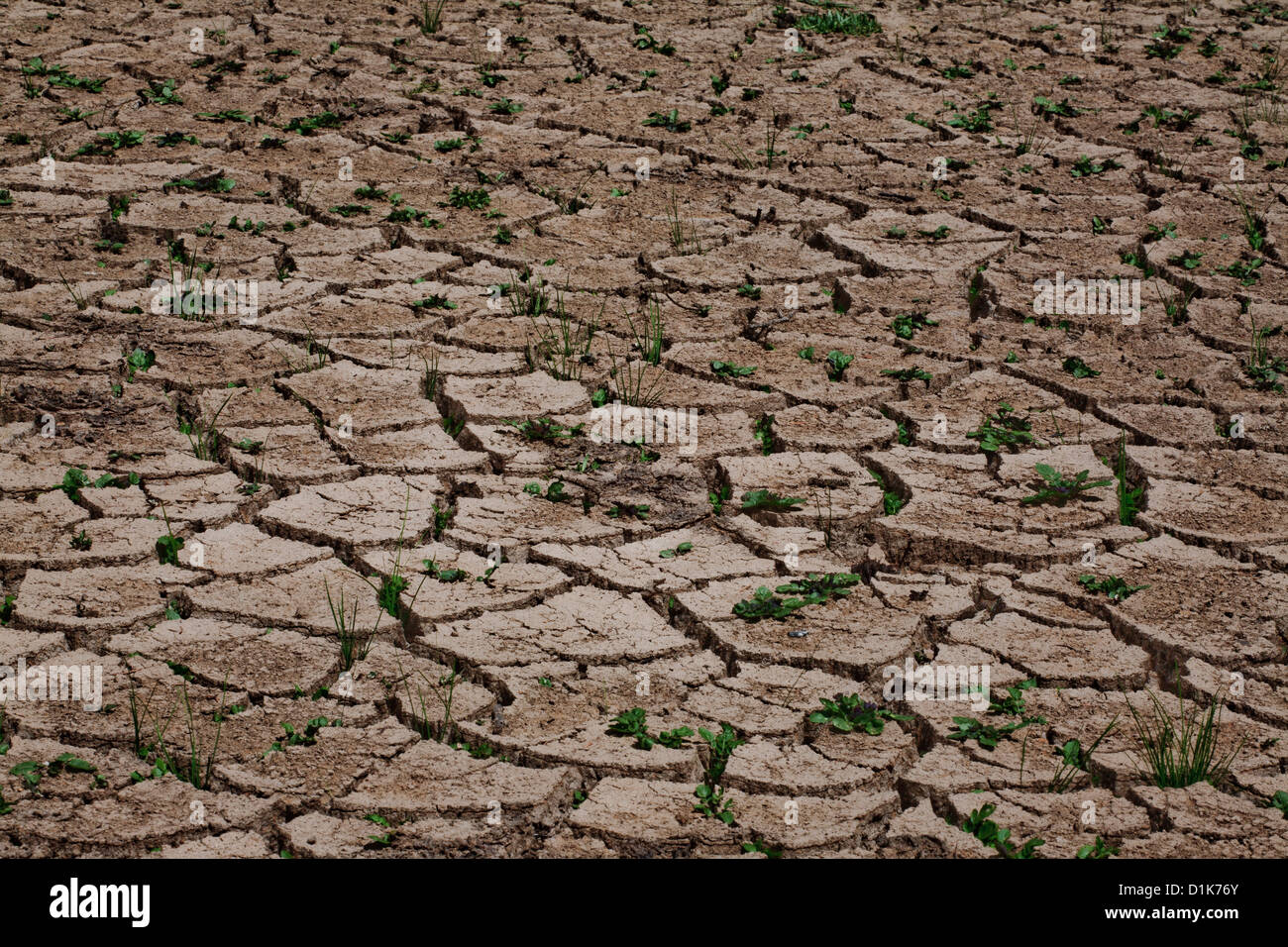 Dried up lake bed from the drought - Colorado Stock Photo - Alamy
