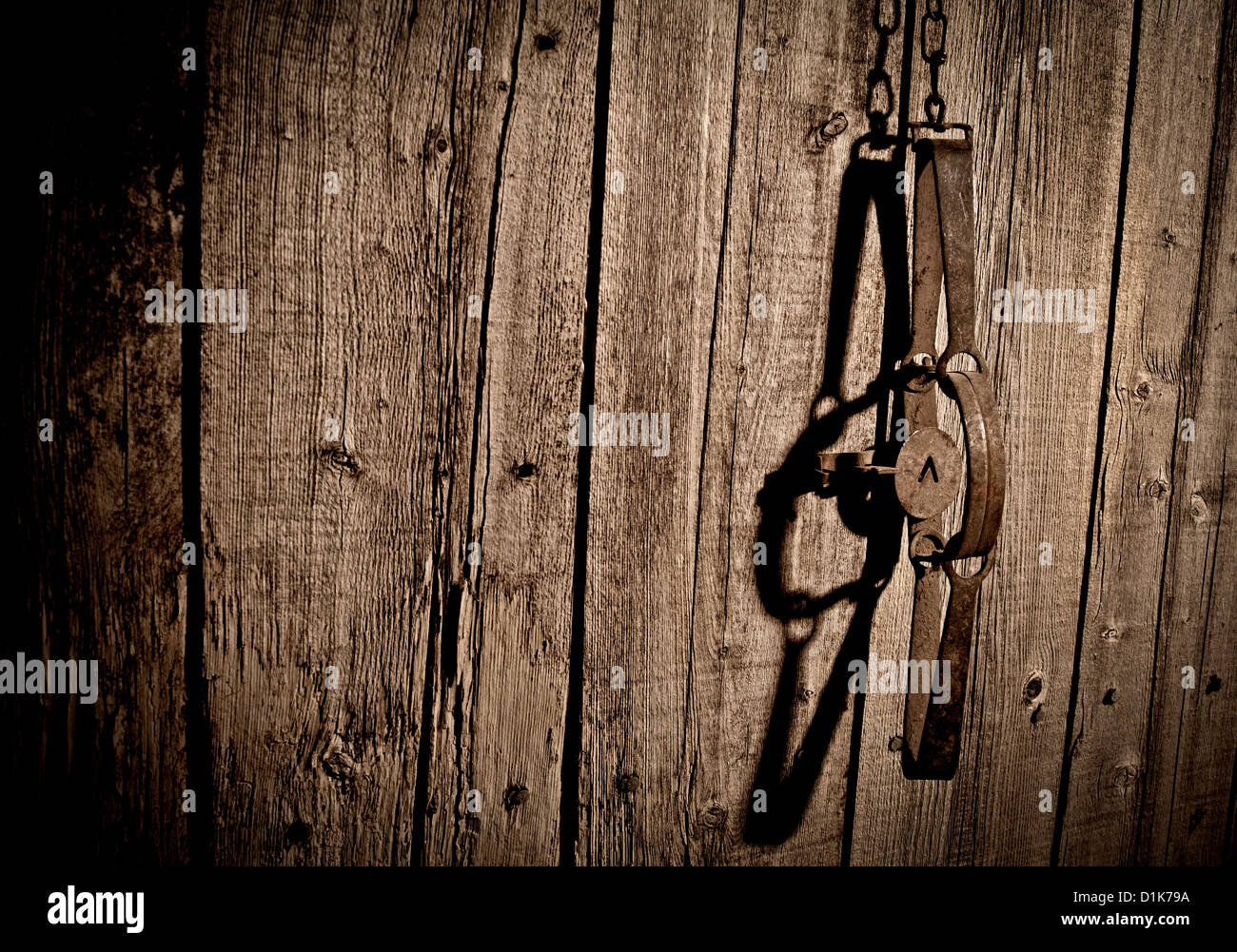 Antique Leg Hold Traps