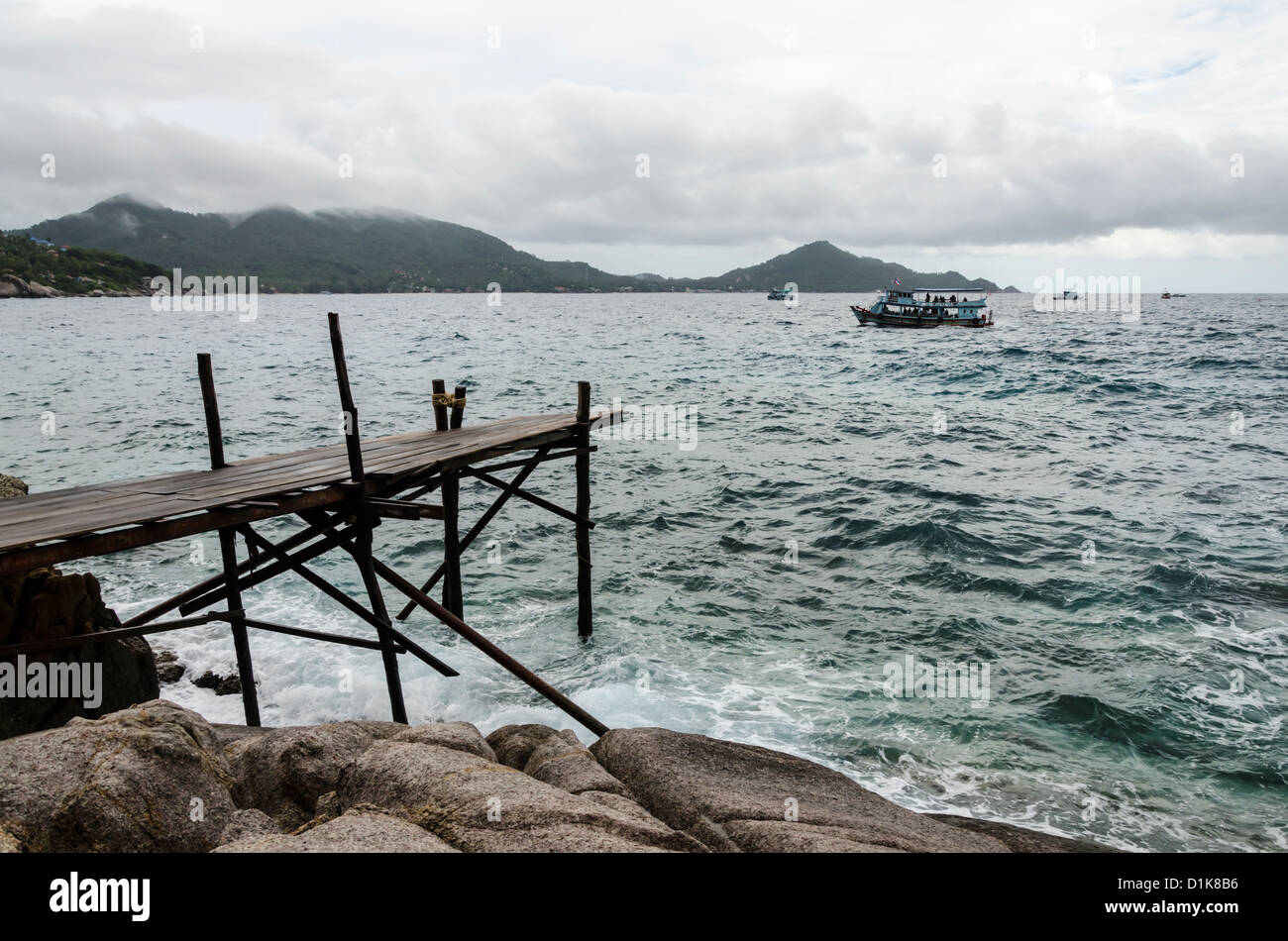 Thailand ko nang yuan nangyuan hi-res stock photography and images - Alamy