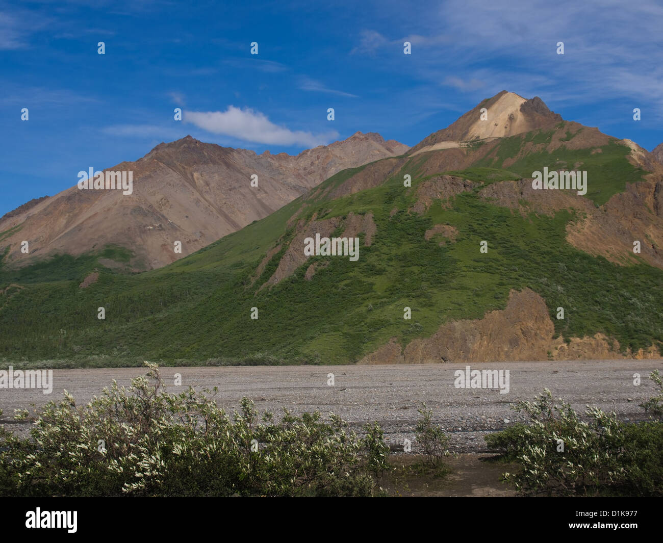 Green and tan mountains, Denali Stock Photo - Alamy