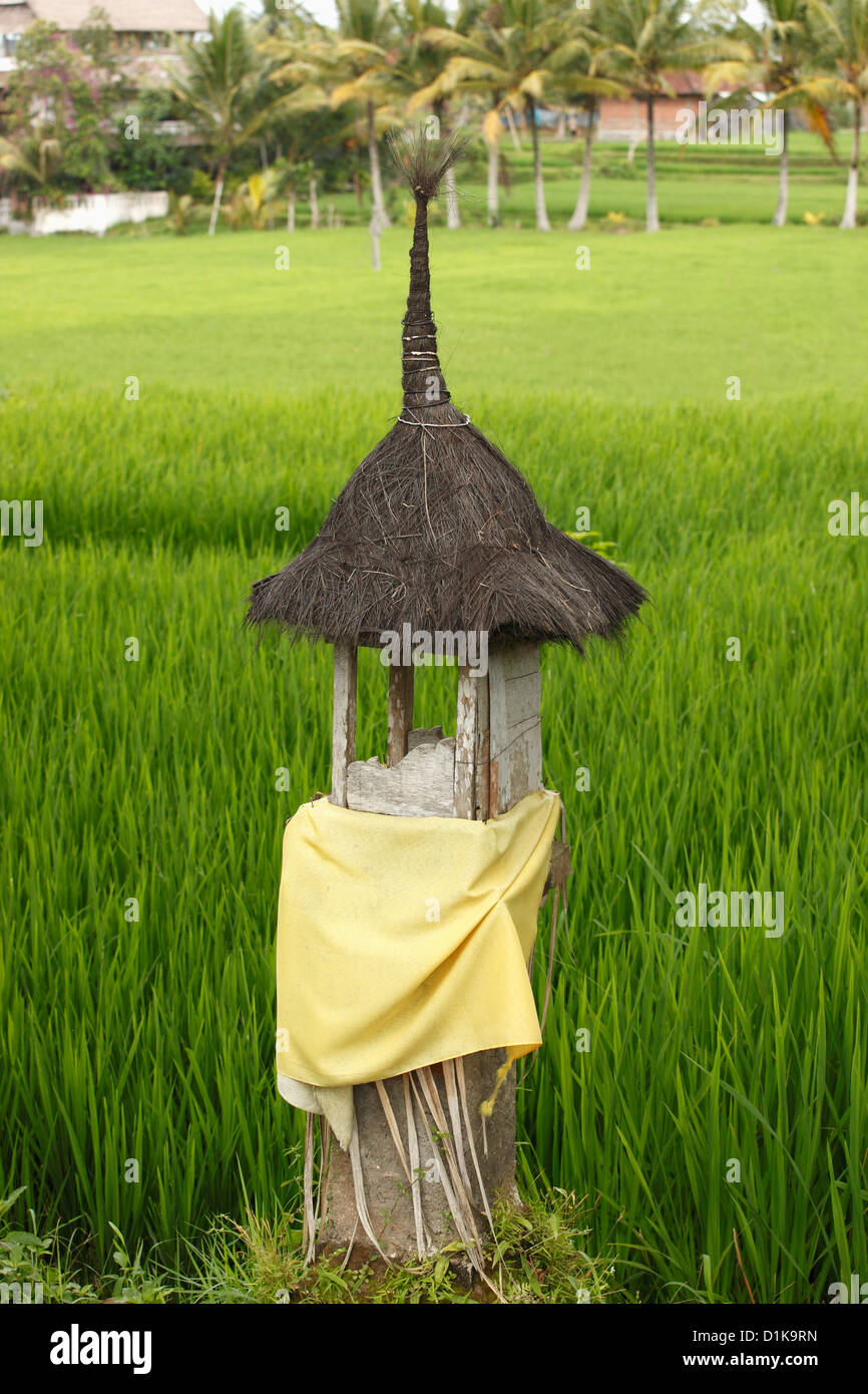 A small shrine in a rice paddy. Indonesia, Bali Stock Photo - Alamy