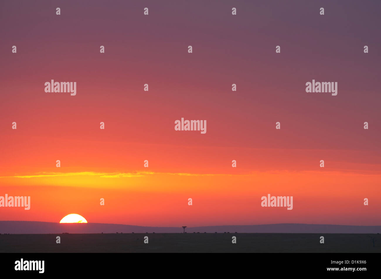 Sunrise in Africa Stock Photo - Alamy