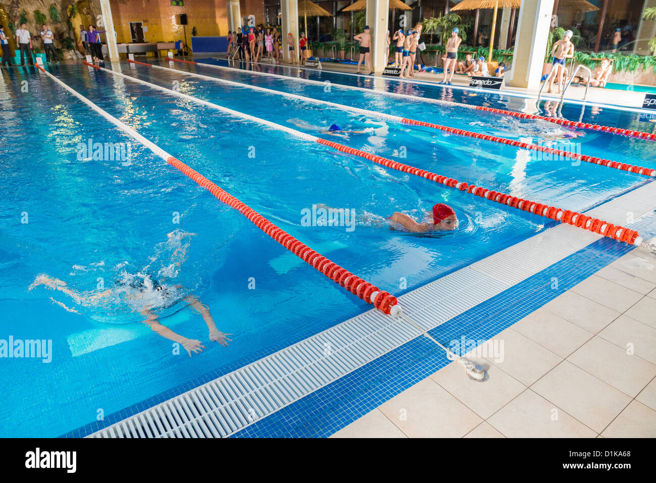 pool swimming championship competition club Stock Photo - Alamy