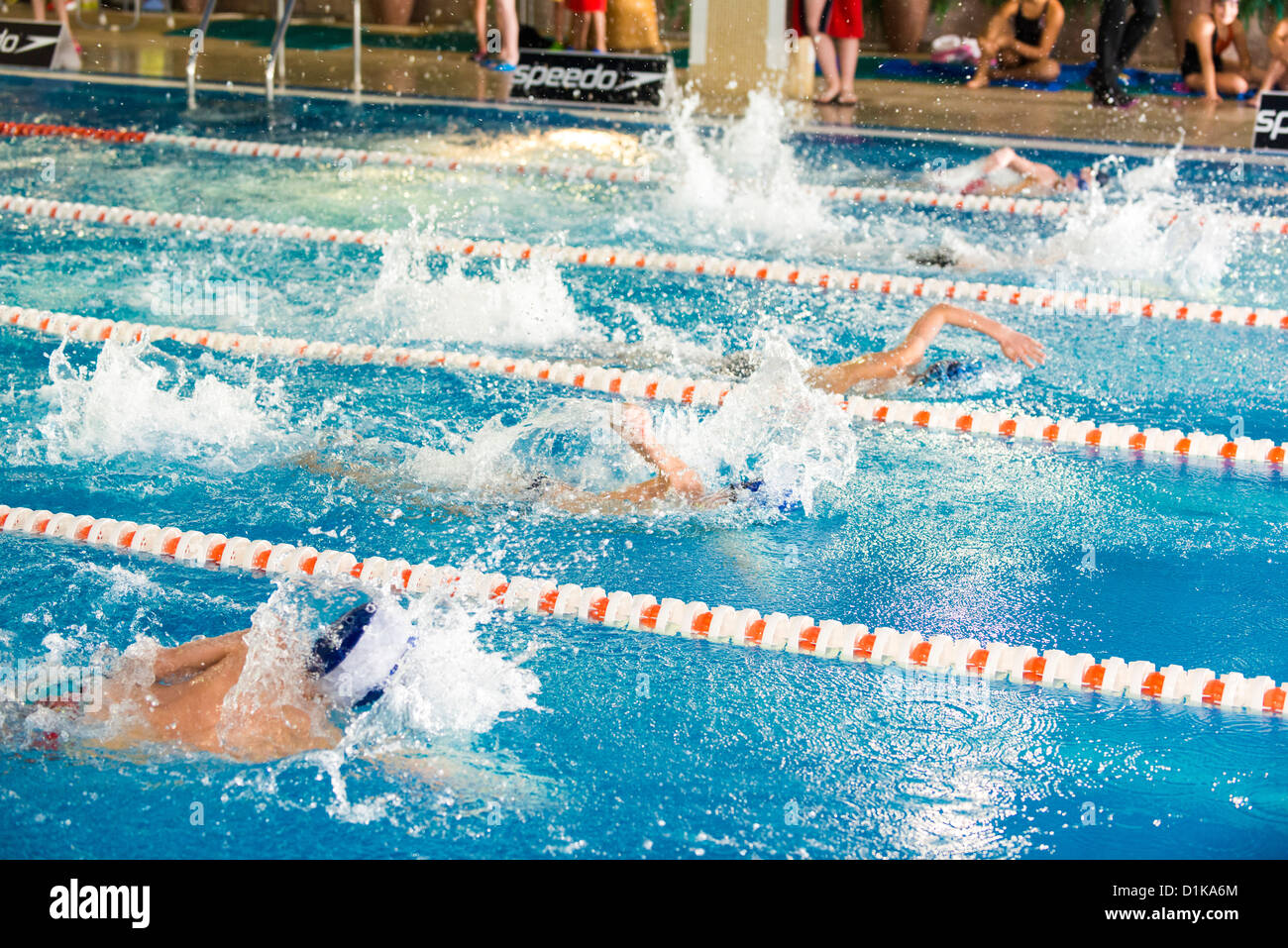 pool swimming championship competition club Stock Photo - Alamy