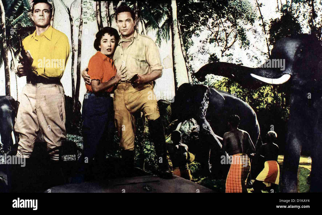 Elephant walk elizabeth taylor hi-res stock photography and images - Alamy