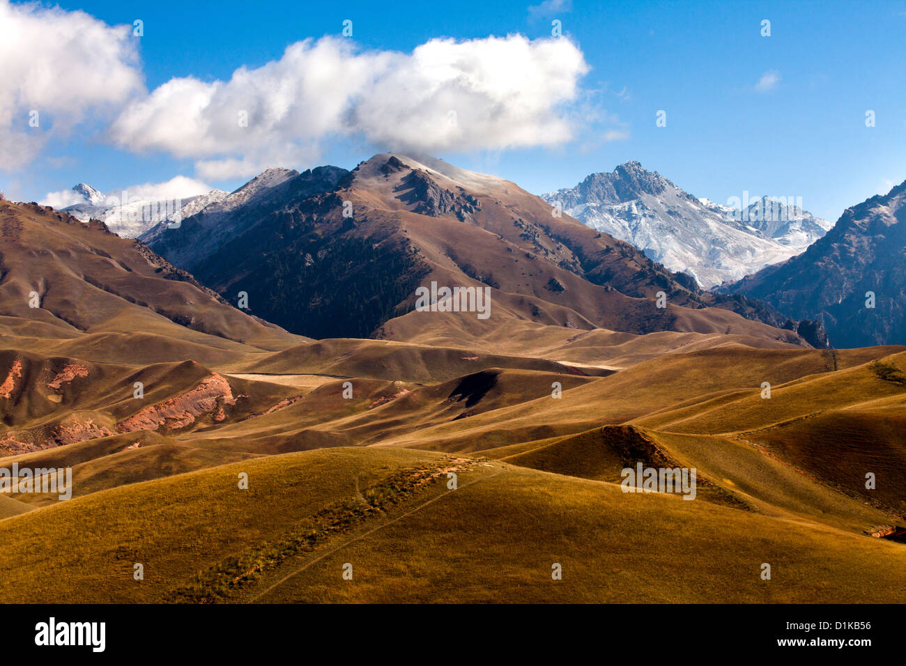 Scenery of Qilian mountain in Qinghai province, China Stock Photo - Alamy