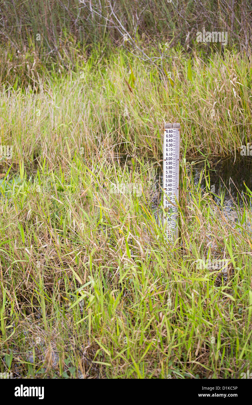 Water level marker in th eFlorida Everglades National Park Stock Photo ...