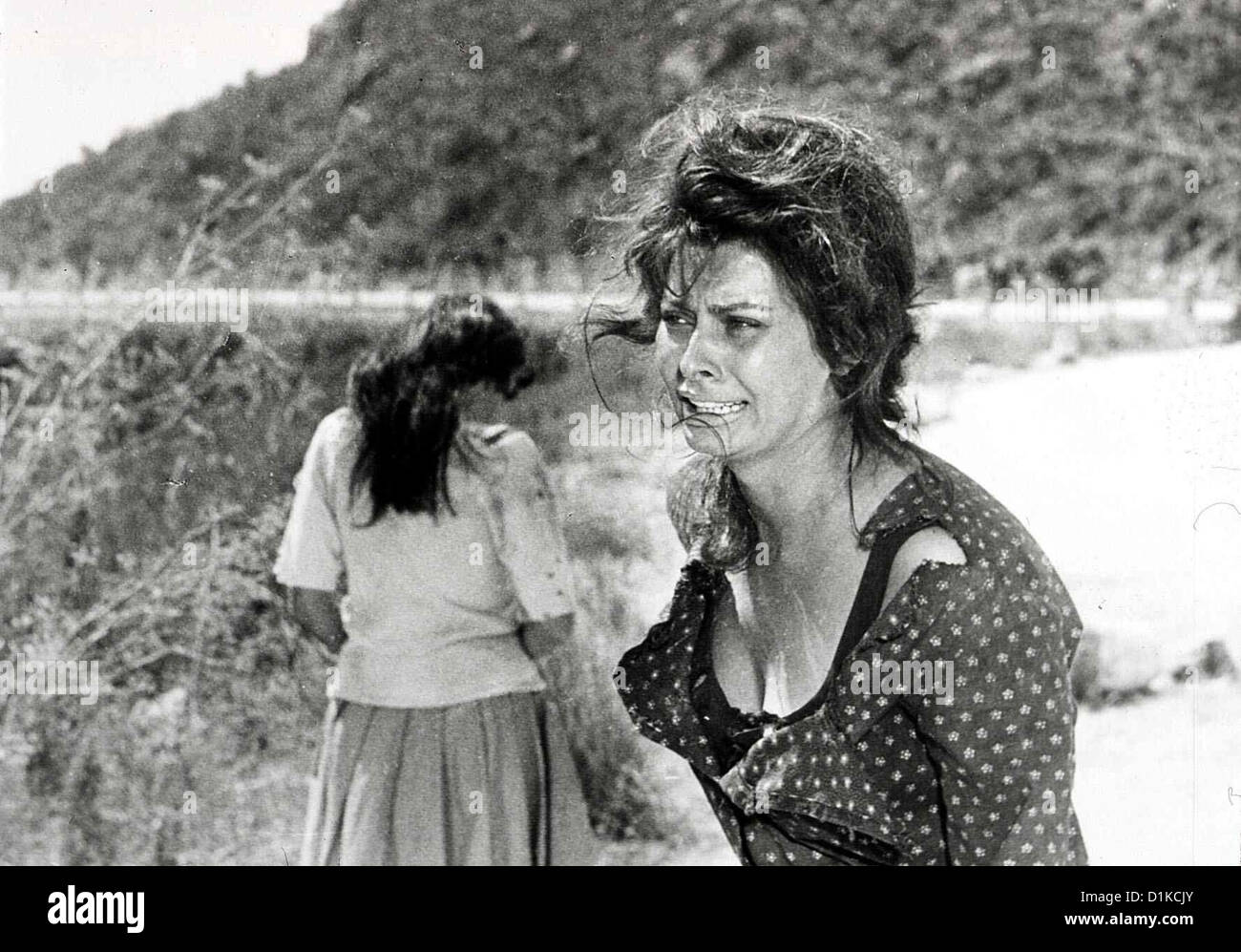 Und Dennoch Leben Sie Ciociara, La Eleanor Brown, Sophia Loren Mitten ...