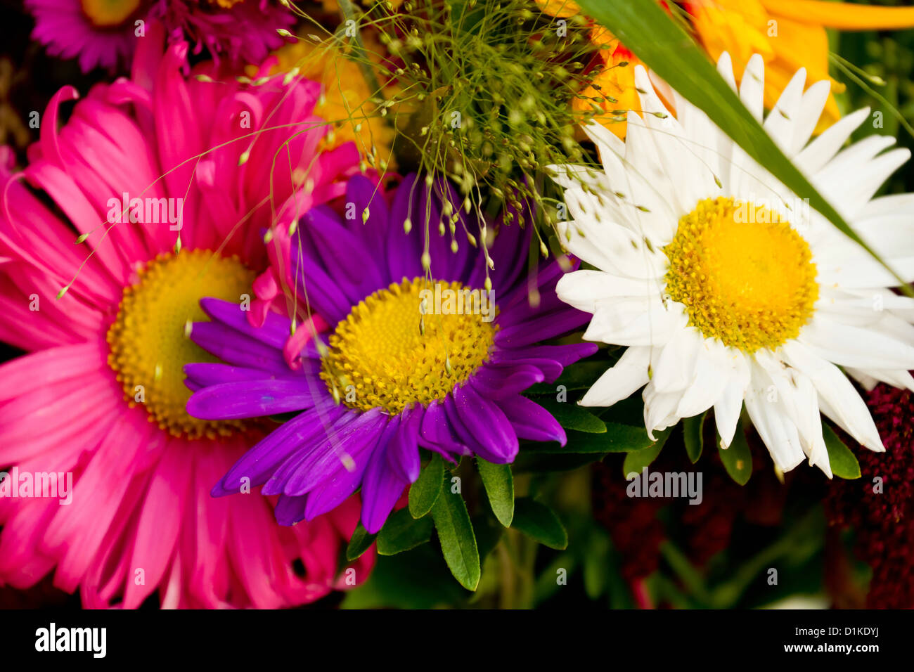 Flower Bouquet on a Market in Hamburg, Germany Stock Photo - Alamy