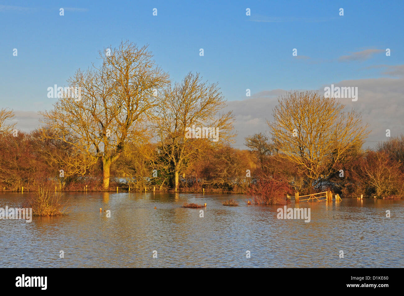 Of newbridge hi-res stock photography and images - Alamy