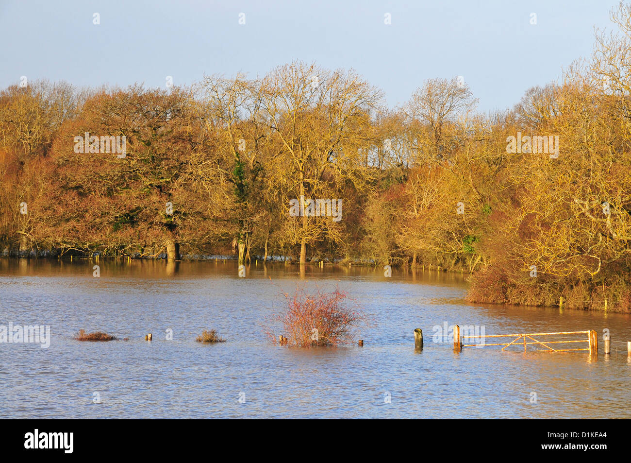 Of newbridge hi-res stock photography and images - Alamy