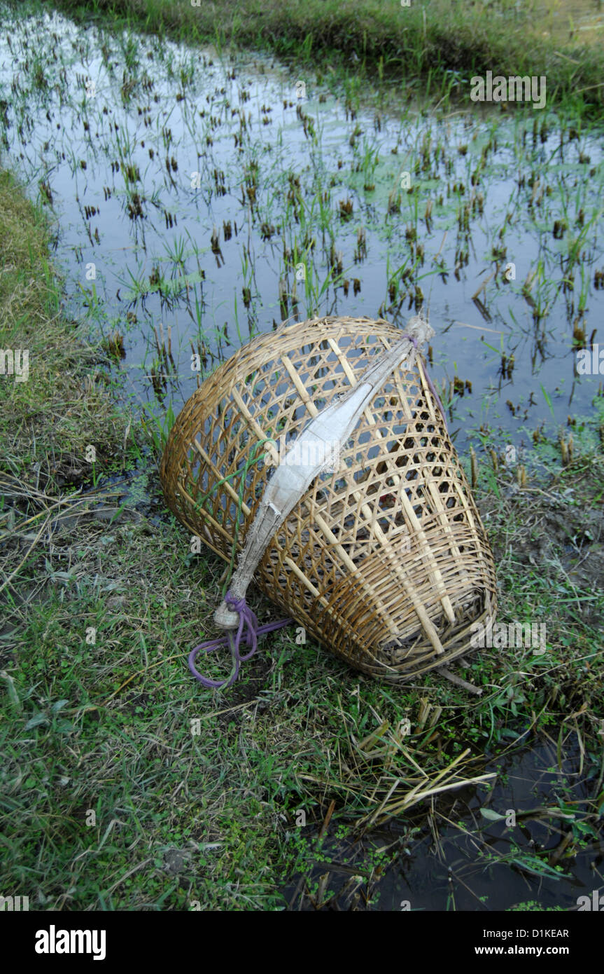 Load basket hi-res stock photography and images - Alamy