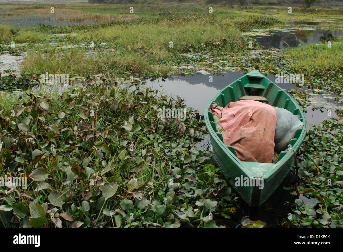 ROWBOAT ON FEWA TAL LAKE IN NEPAL Stock Photo - Alamy