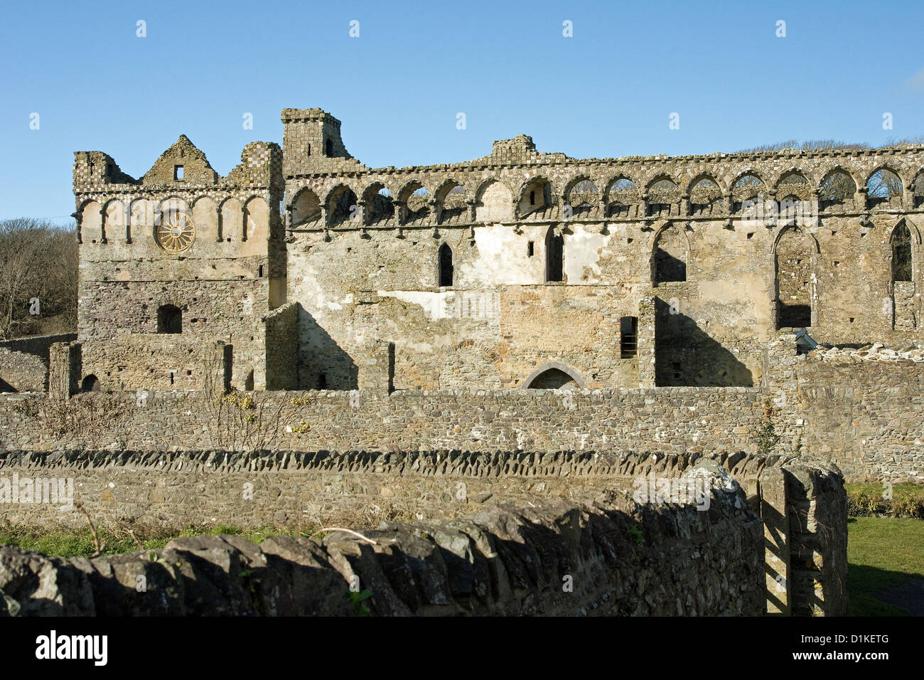 St Davids Palace in West Wales Stock Photo - Alamy