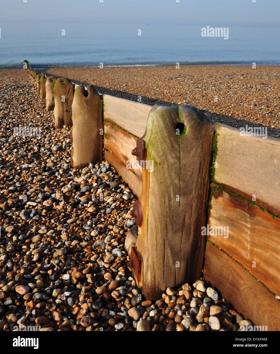 Wooden groyne on Brighton beach Stock Photo - Alamy