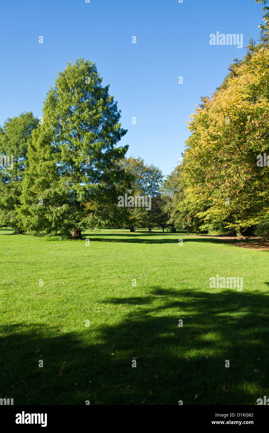 Stadtpark High Resolution Stock Photography and Images - Alamy