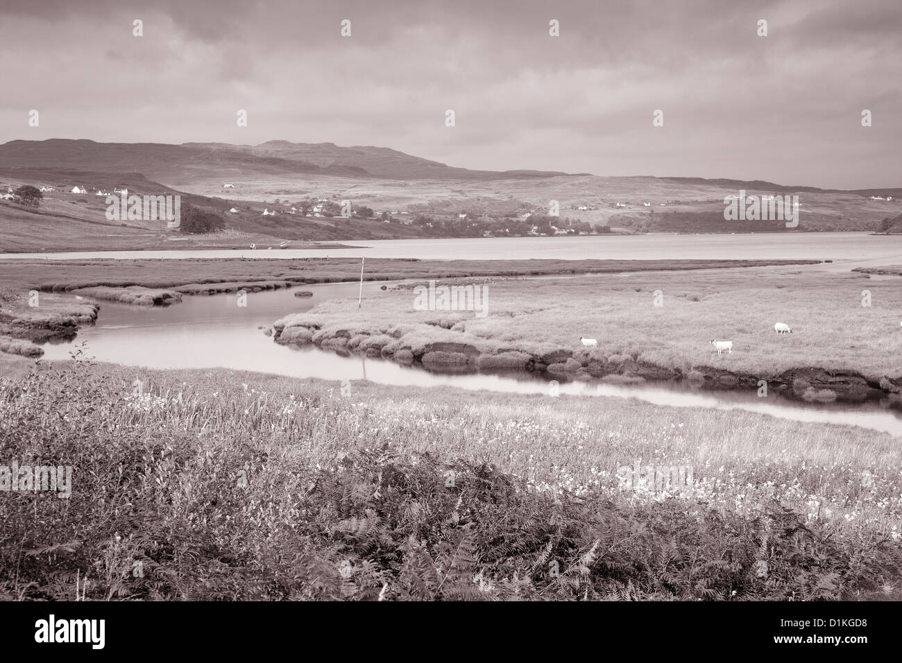 Carbost; Isle of Skye; Skye; Scotland; UK Stock Photo - Alamy