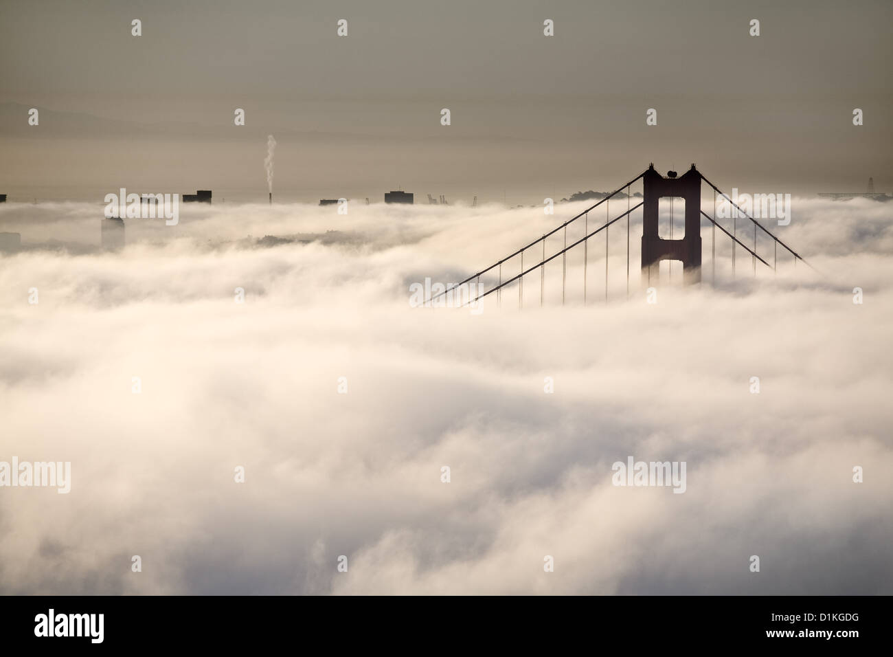 Golden gate bridge fog hi-res stock photography and images - Alamy