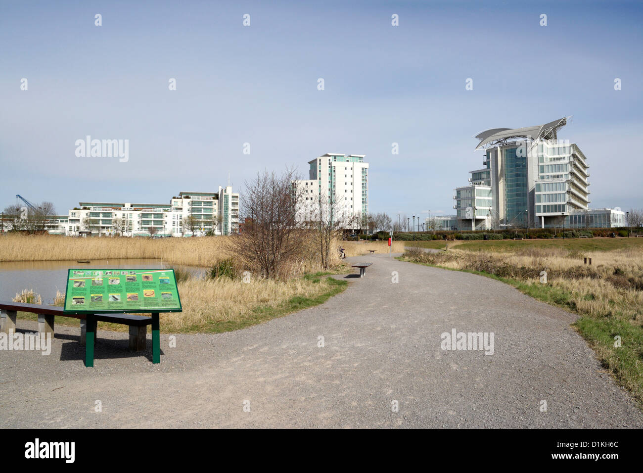 Cardiff Bay wetlands nature reserve on reclaimed land. with St Davids ...