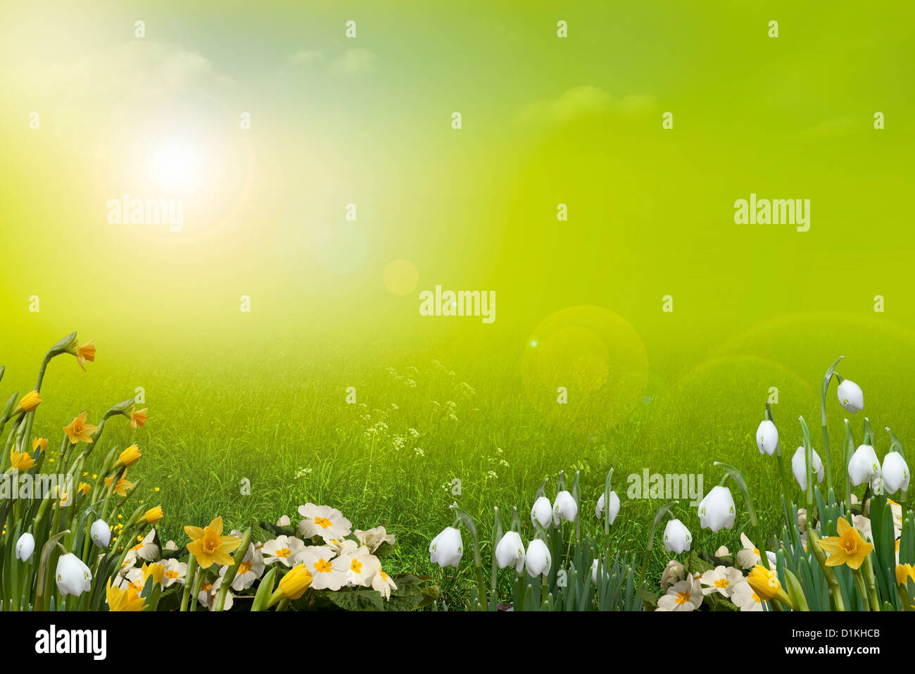 Spring Background with flowers, landscape Stock Photo - Alamy
