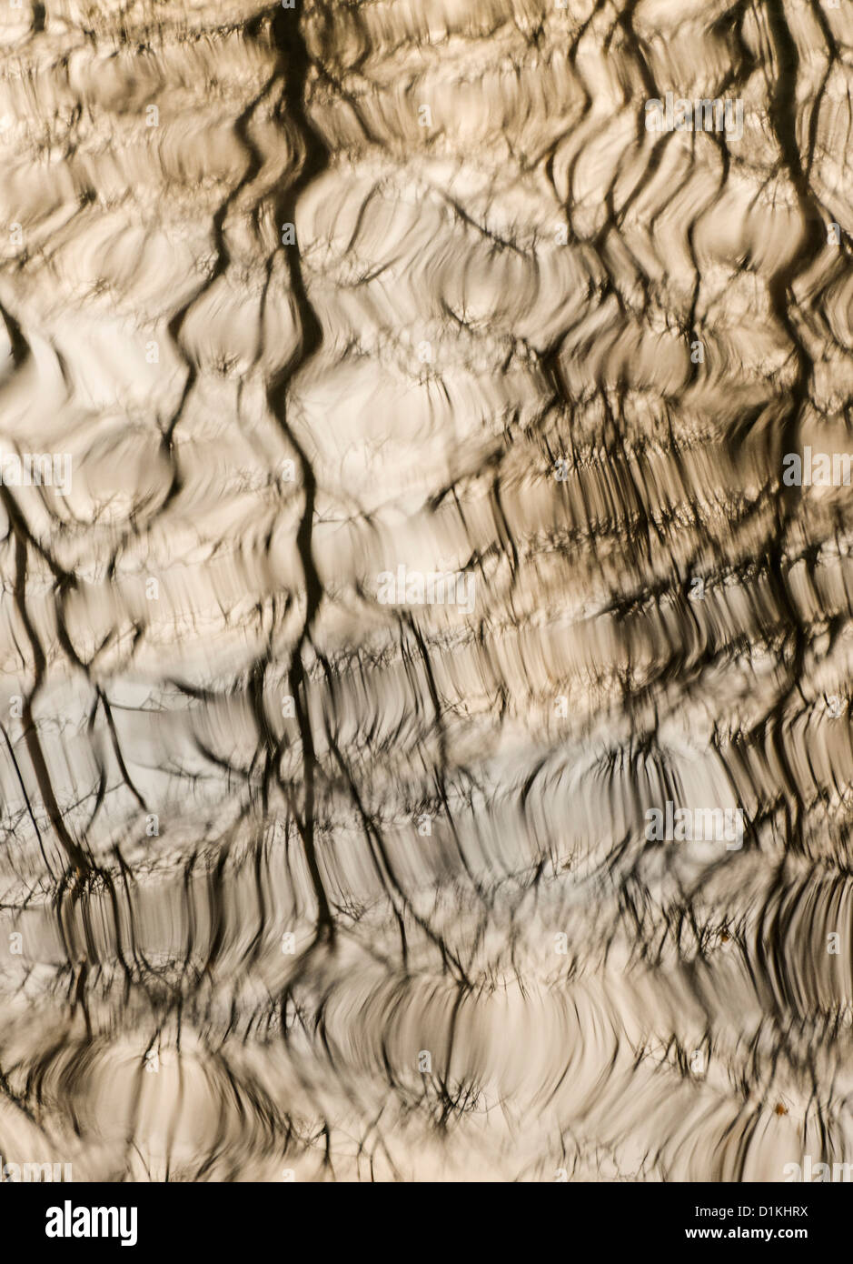 Rippling reflections in a small pool Stock Photo - Alamy