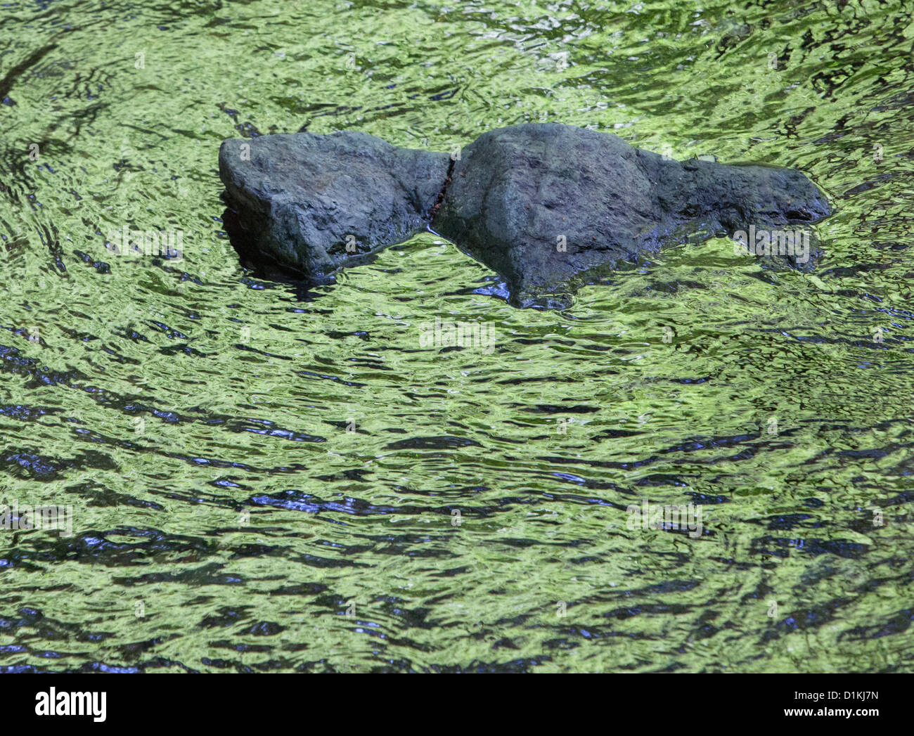 Rocks in stream Stock Photo - Alamy