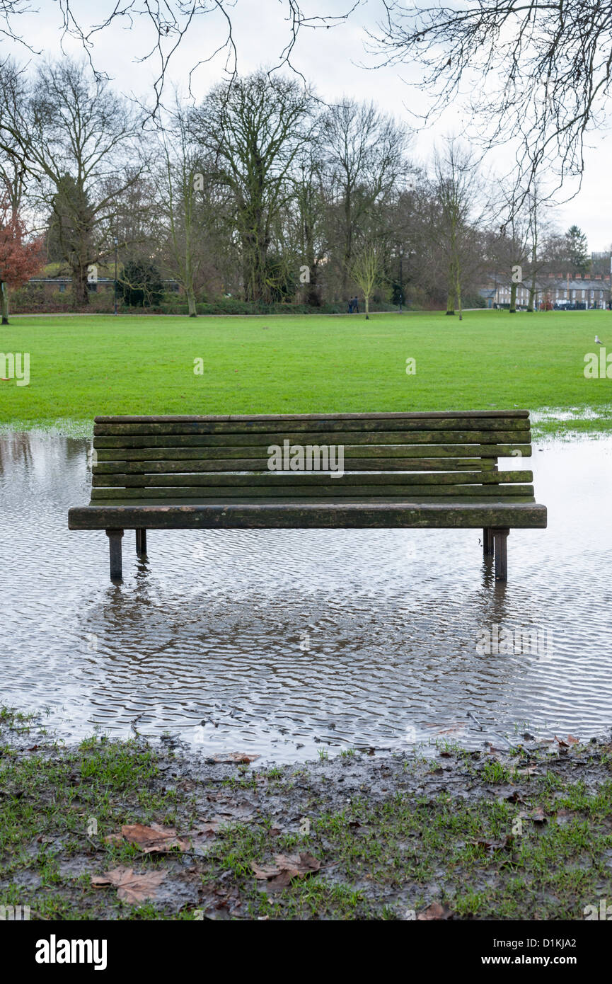 A park bench in a flooded park in Cambridge UK Stock Photo - Alamy