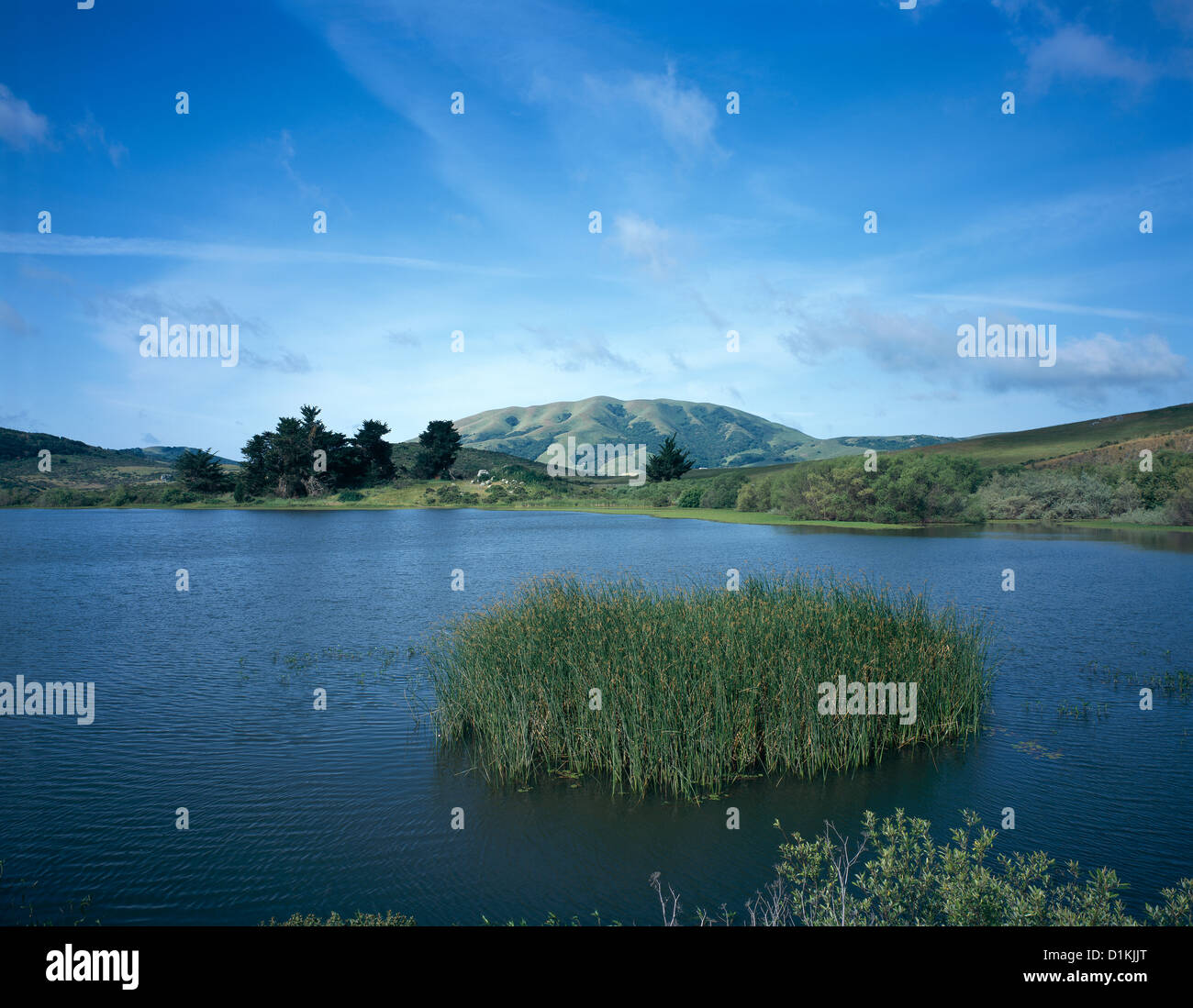 Nicasio reservoir hi-res stock photography and images - Alamy