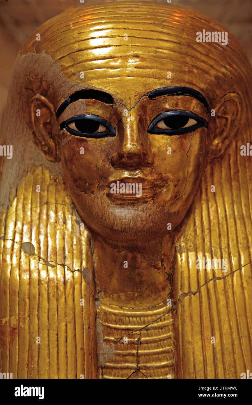 Yuya thuya hi-res stock photography and images - Alamy