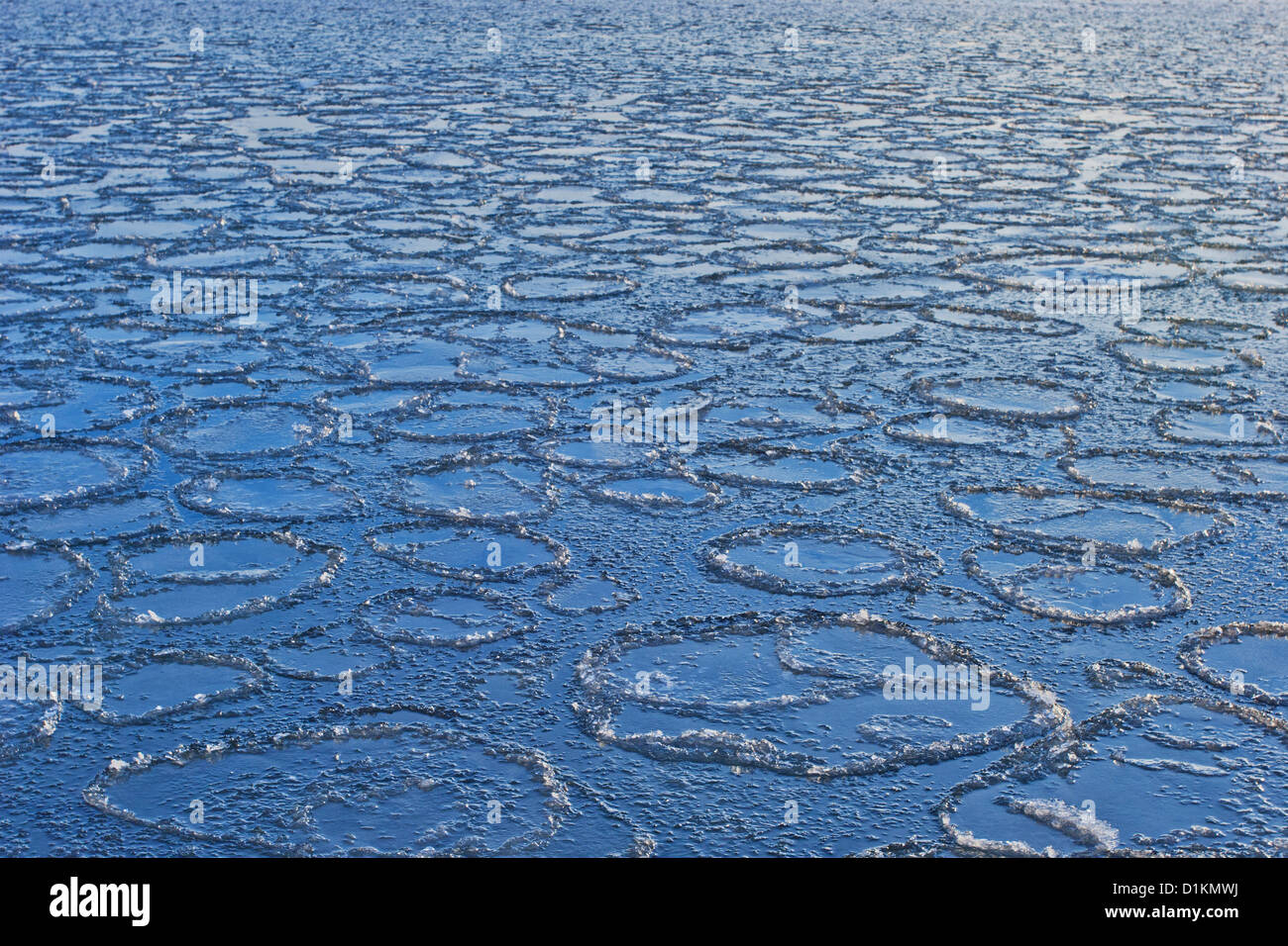 Ice Circles