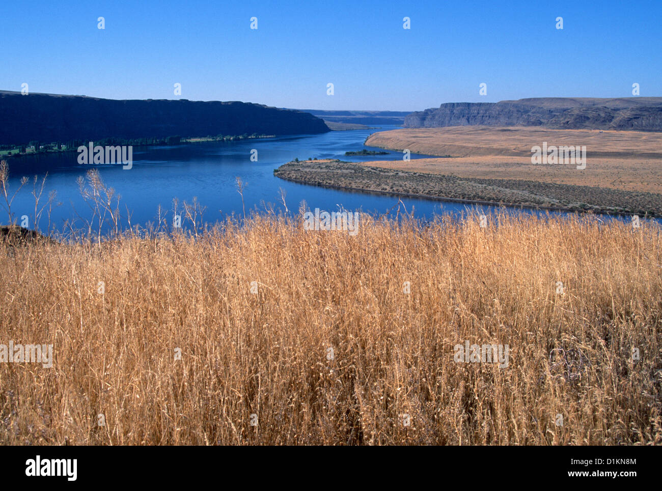 Columbia River. Crescent Bay, Wa, USA Stock Photo - Alamy