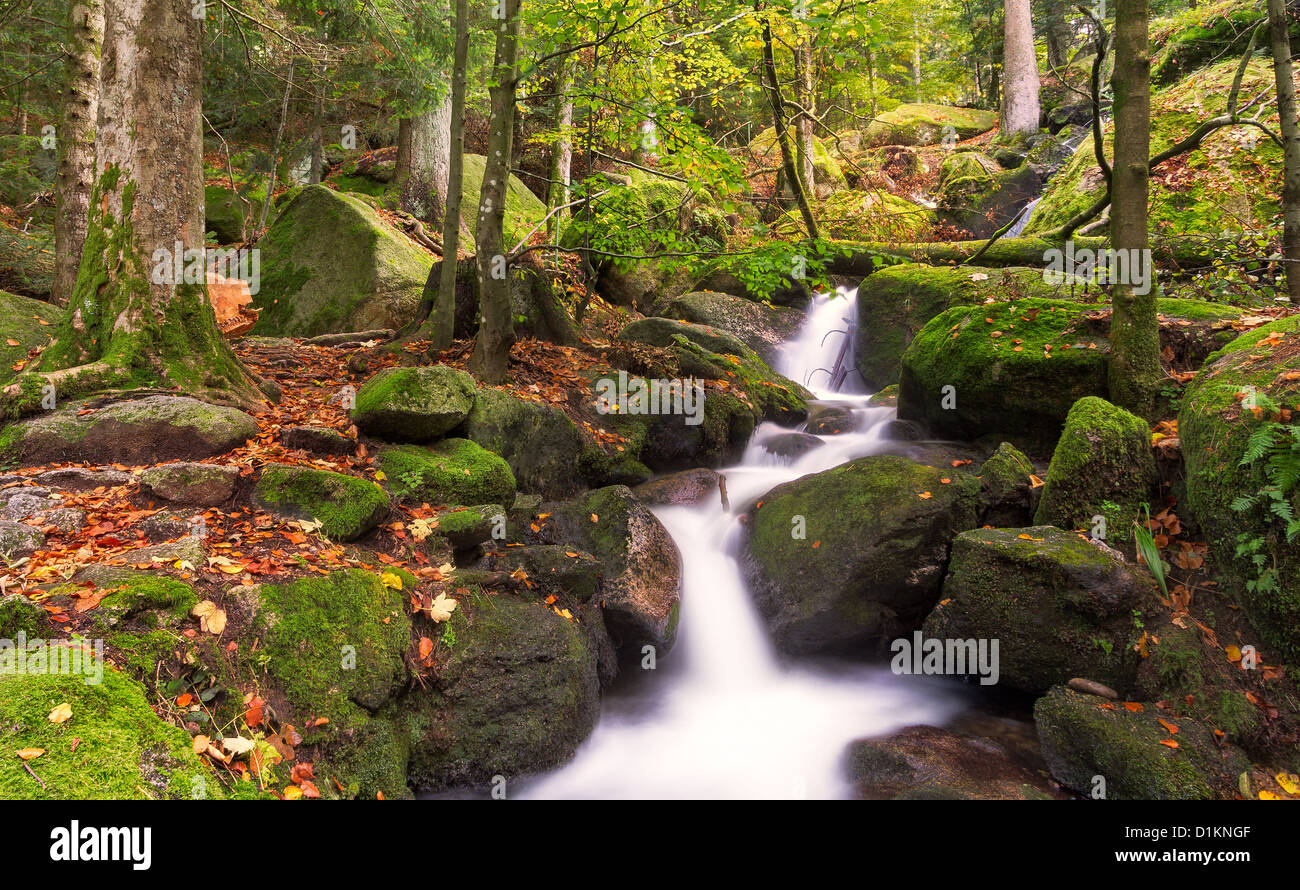 Black forest autumn germany hi-res stock photography and images - Alamy