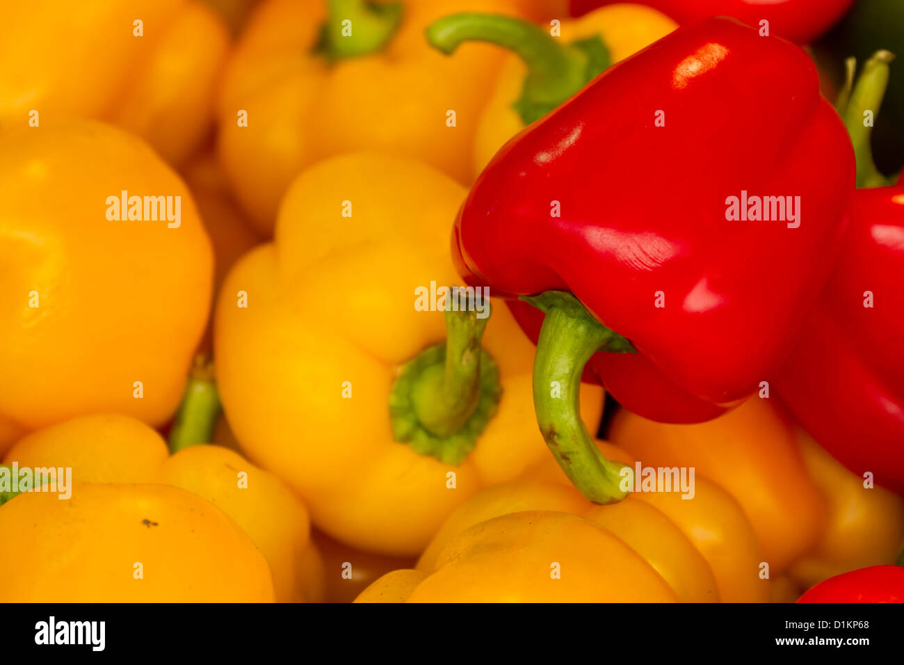 Pepper on a Market in the Schanzenviertel of Hamburg, Germany Stock ...