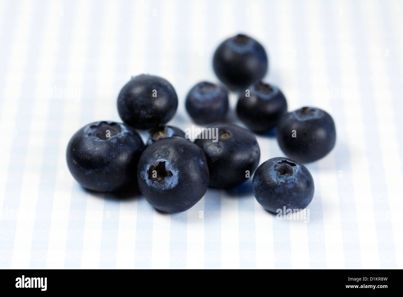 Vaccinium corymbosum. Blueberries on a pale blue and white checked ...