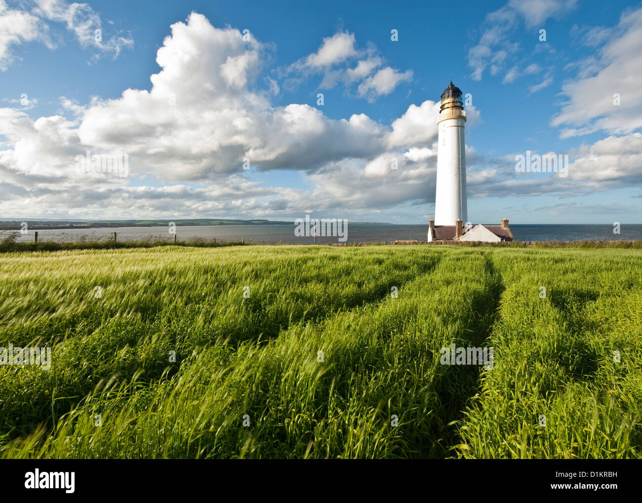 Scurdie Ness Lighthouse and field of barley. Montrose, Scotland, Uk ...