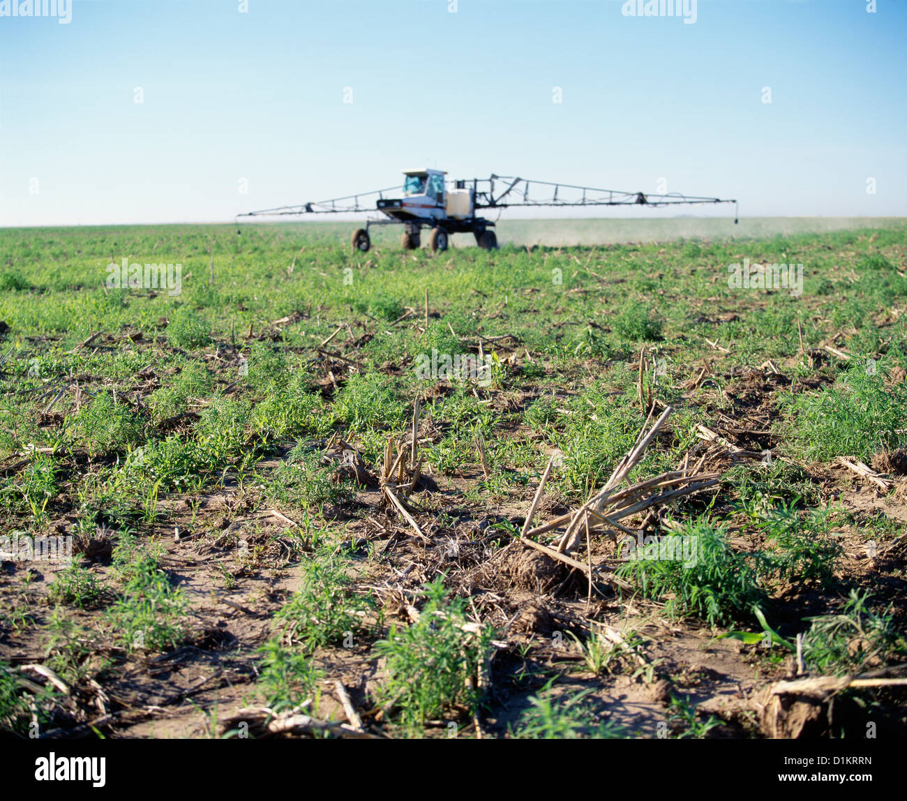SPRAYING HERBICIDE ON SUMMER FALLOW WHEAT GROUND WITH WEEDS / KANSAS ...