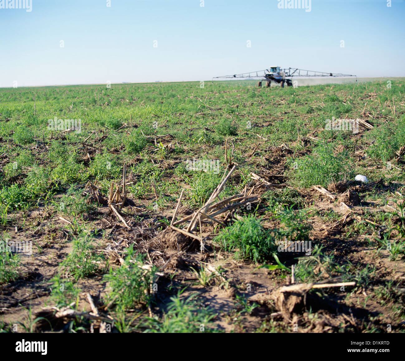 SPRAYING HERBICIDE ON SUMMER FALLOW WHEAT GROUND WITH WEEDS / KANSAS ...