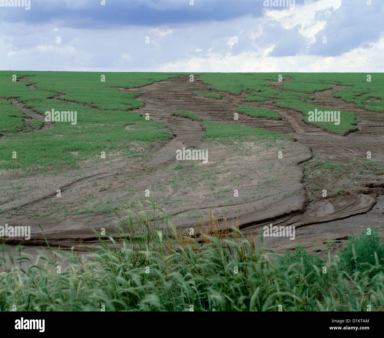 Rill Erosion Diagram