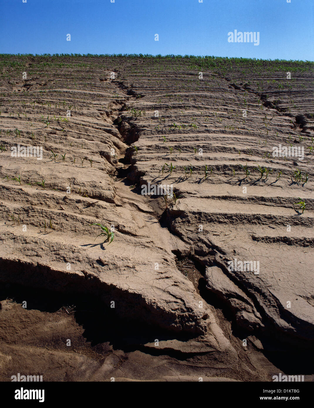 Eroded soil hi-res stock photography and images - Alamy