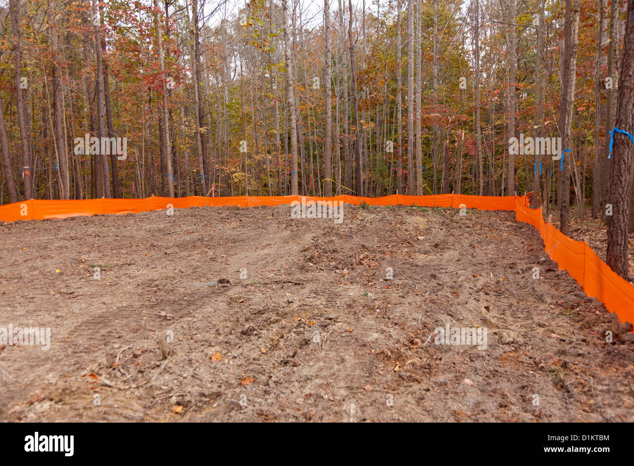 Property cleared of trees for a house Stock Photo - Alamy