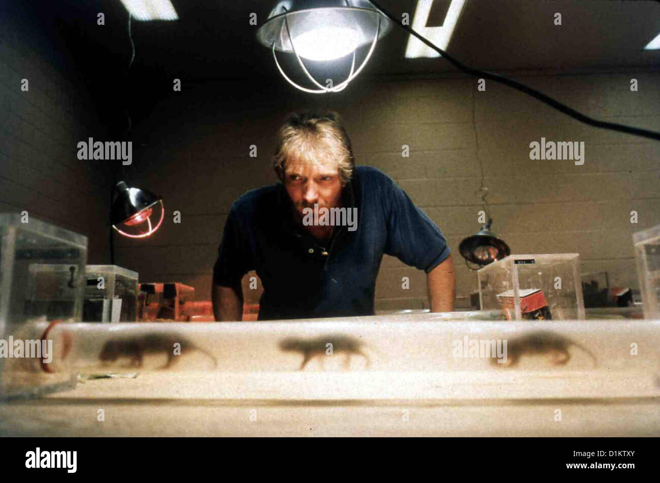 Fast cheap and out of control hi-res stock photography and images - Alamy