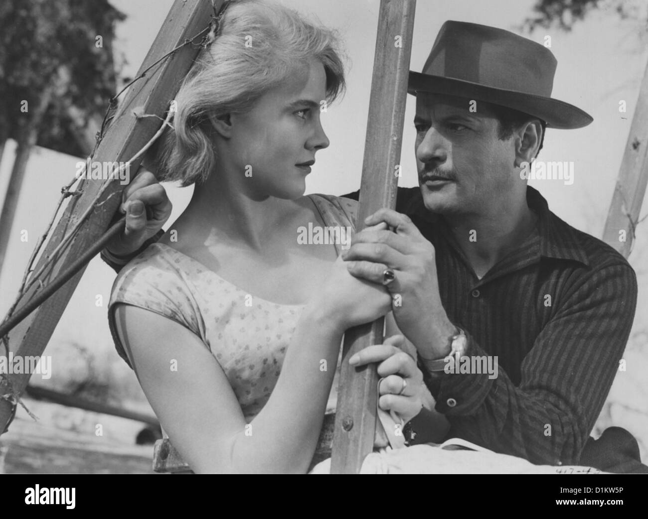 Baby still Black and White Stock Photos & Images - Alamy