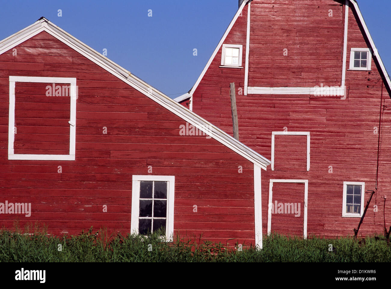 Pease family hi-res stock photography and images - Alamy